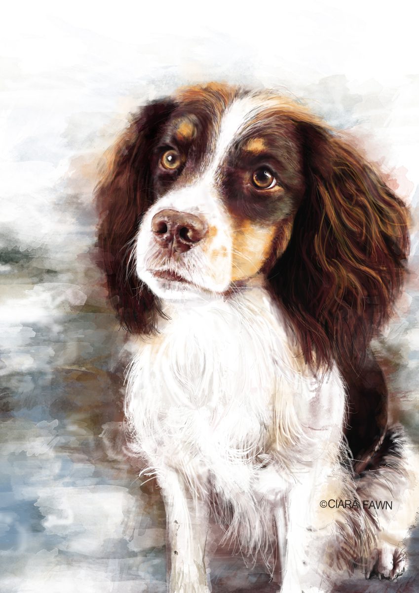 Bespoke Illustrated Pet Portrait – Urban Makers
