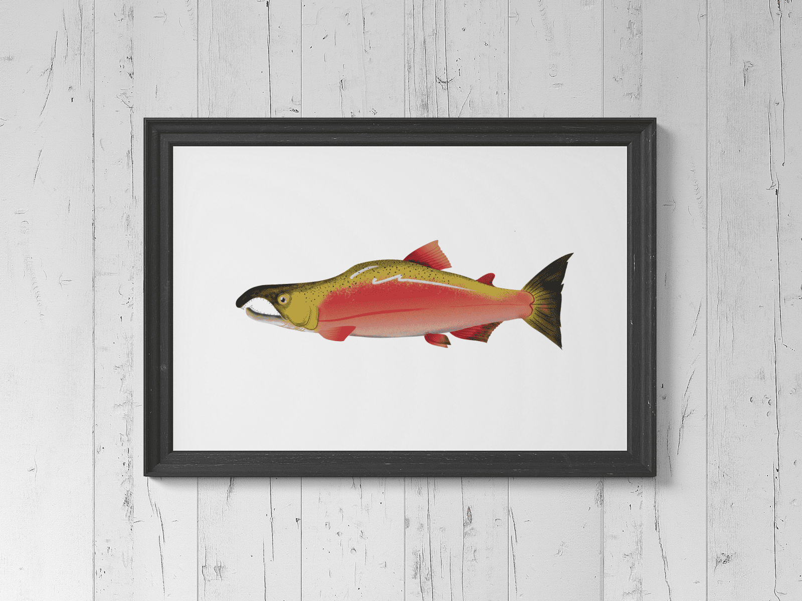 Sockeye Salmon Print – Urban Makers